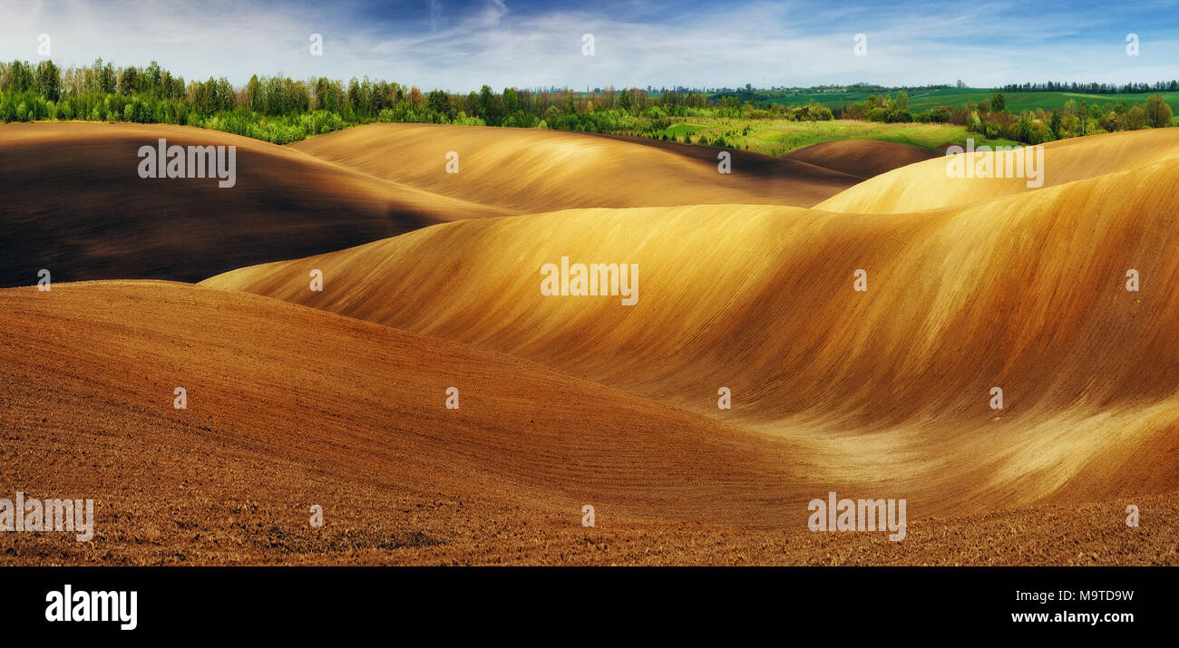 hilly field. picturesque hills of a spring field Stock Photo - Alamy