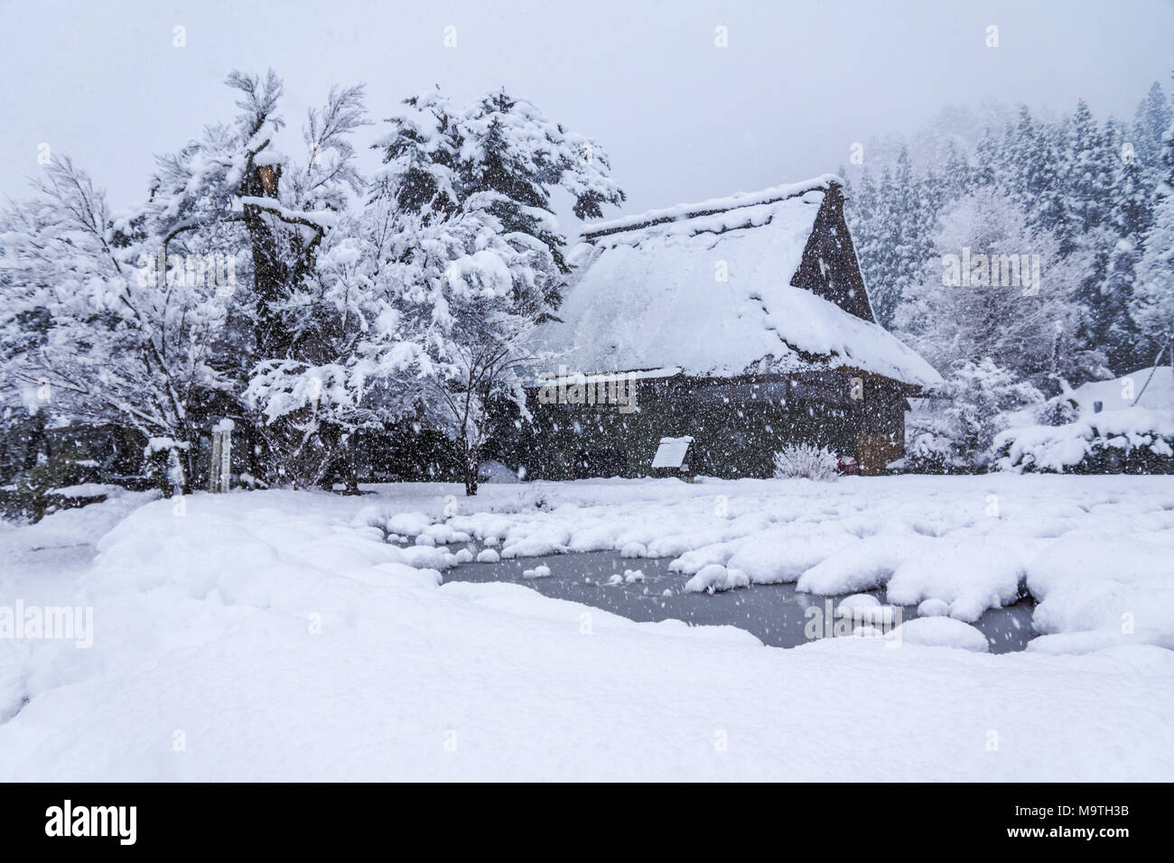 Shirakawago, world heritage village, the tourist destination, in winter ...