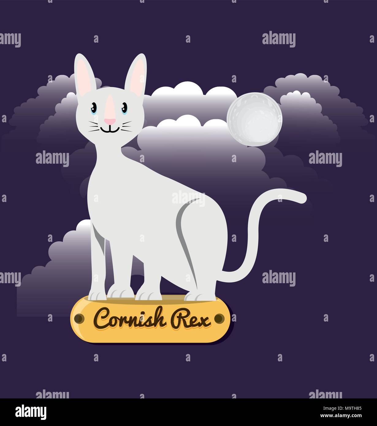 Cornish rex kitten Stock Vector Images - Alamy