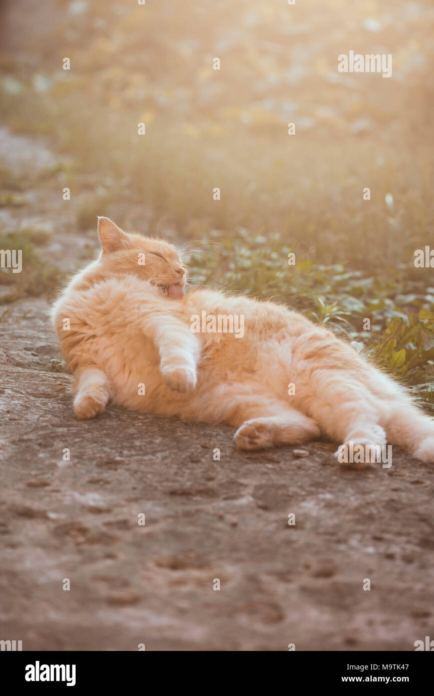 Lazy sunset hi-res stock photography and images - Alamy