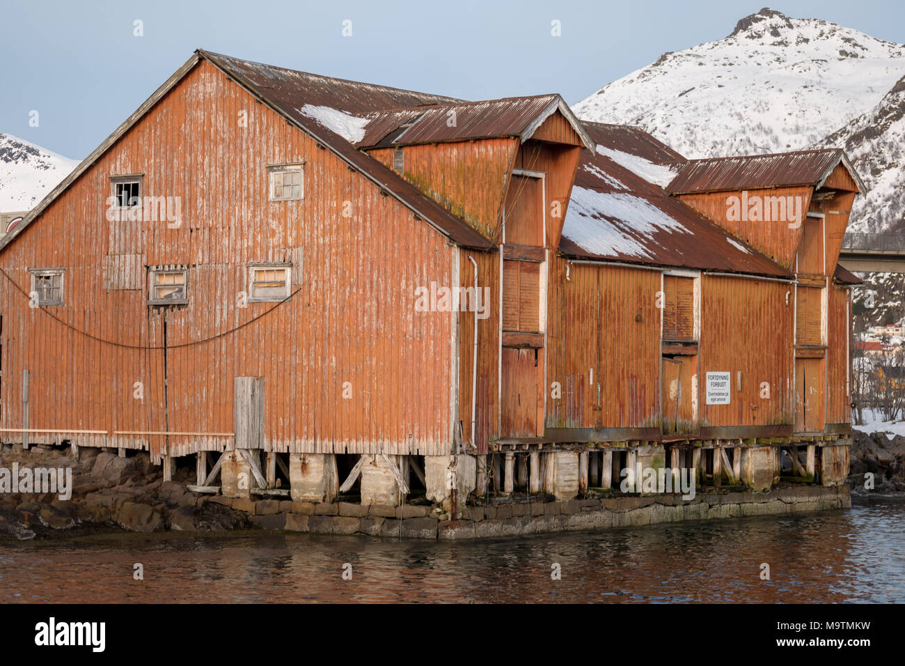 Svinoya Rorbuer cabins in the Lofoten Islands of Norway Stock Photo - Alamy