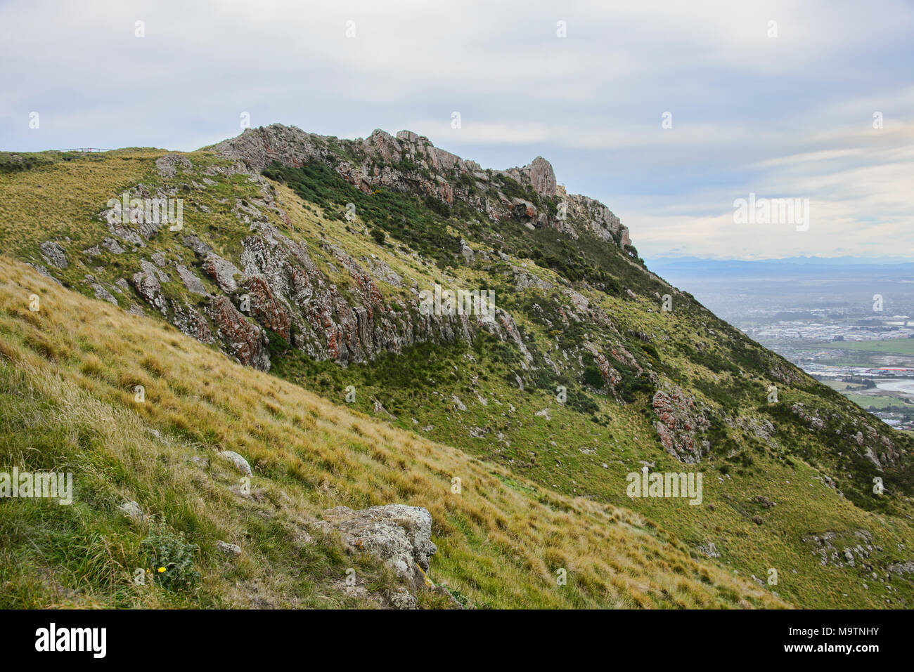 Bridle path track hi-res stock photography and images - Alamy