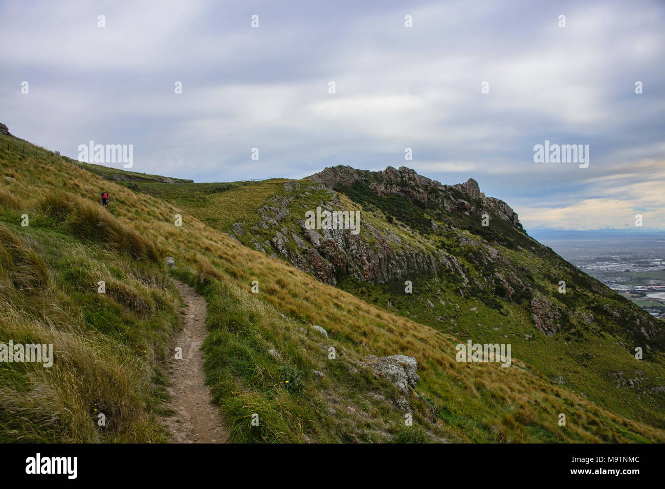 On top of the Bridle Path Track, the original route between the ...