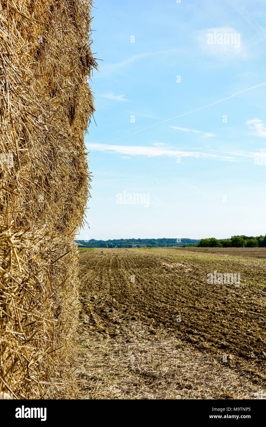 Rectangular bales of straw stacked in a field before being transported ...