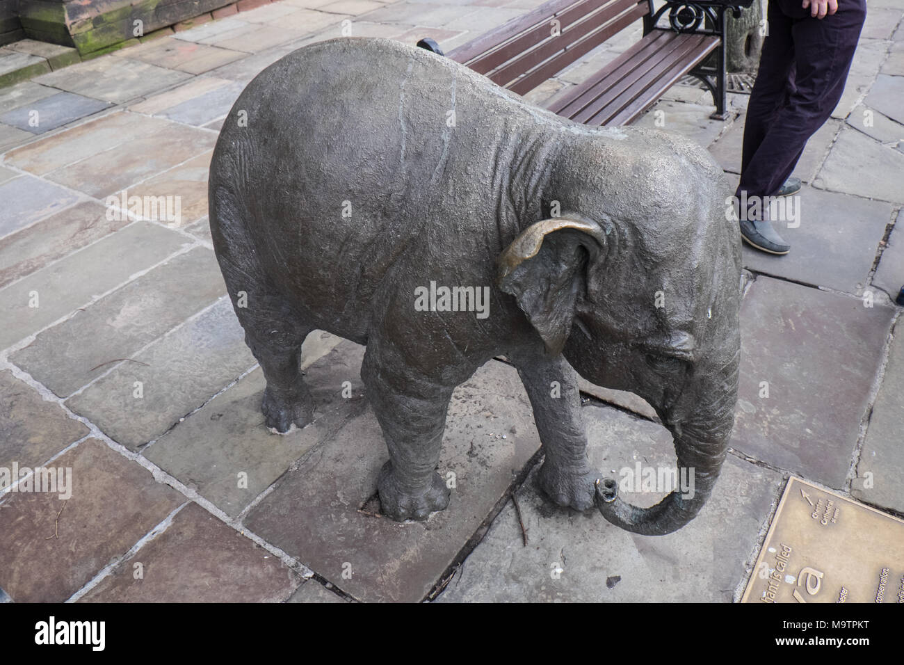 Janya,bronze,Indian,Asian,elephant,calf,sculpture,statue,given,by ...