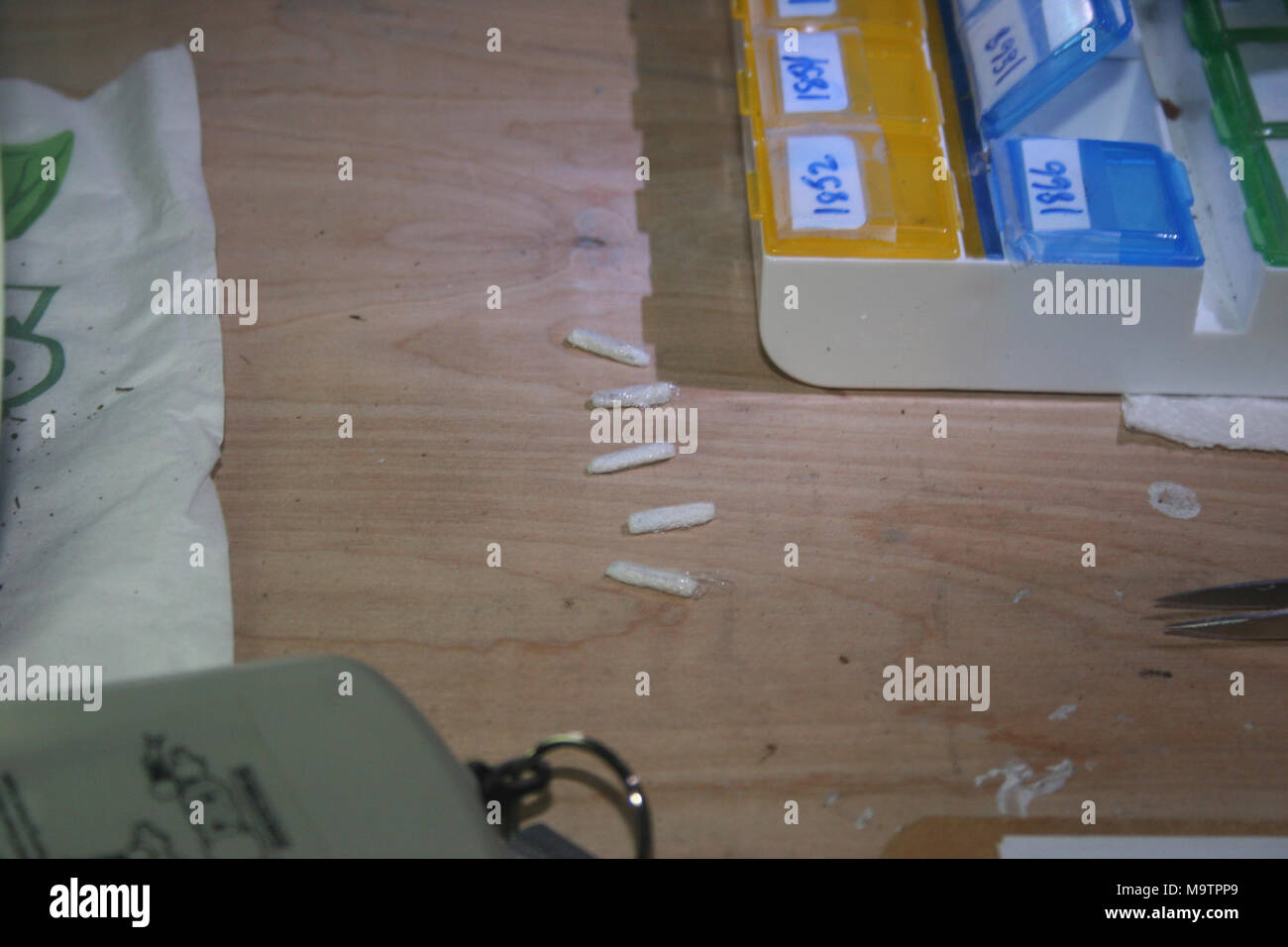 PIT tags. PIT tags Stock Photo - Alamy
