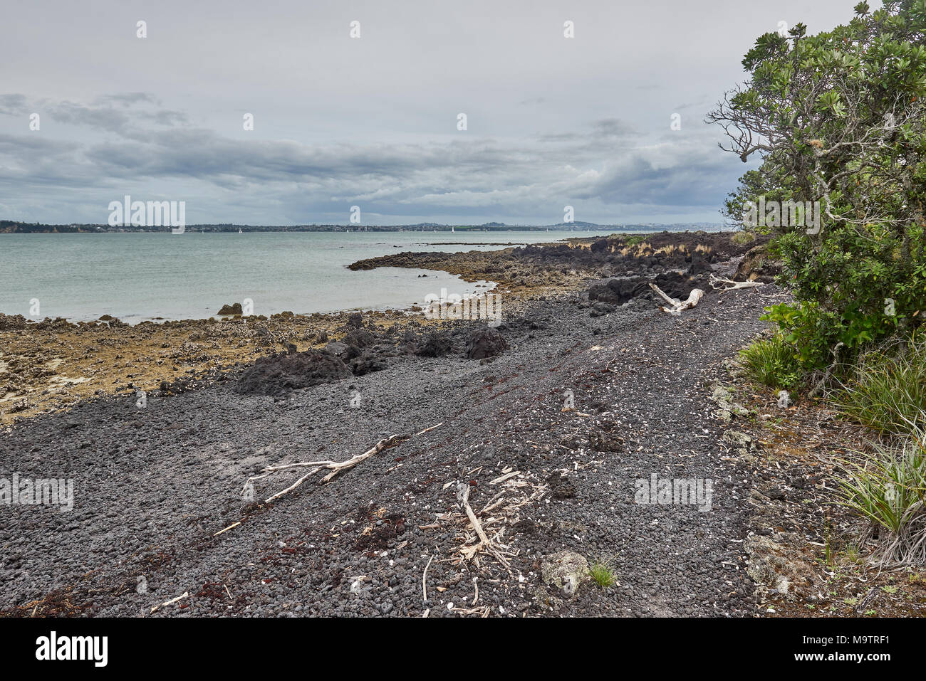 Views from the Coastal Track close to the Rangitoto wharf on Rangitoto ...