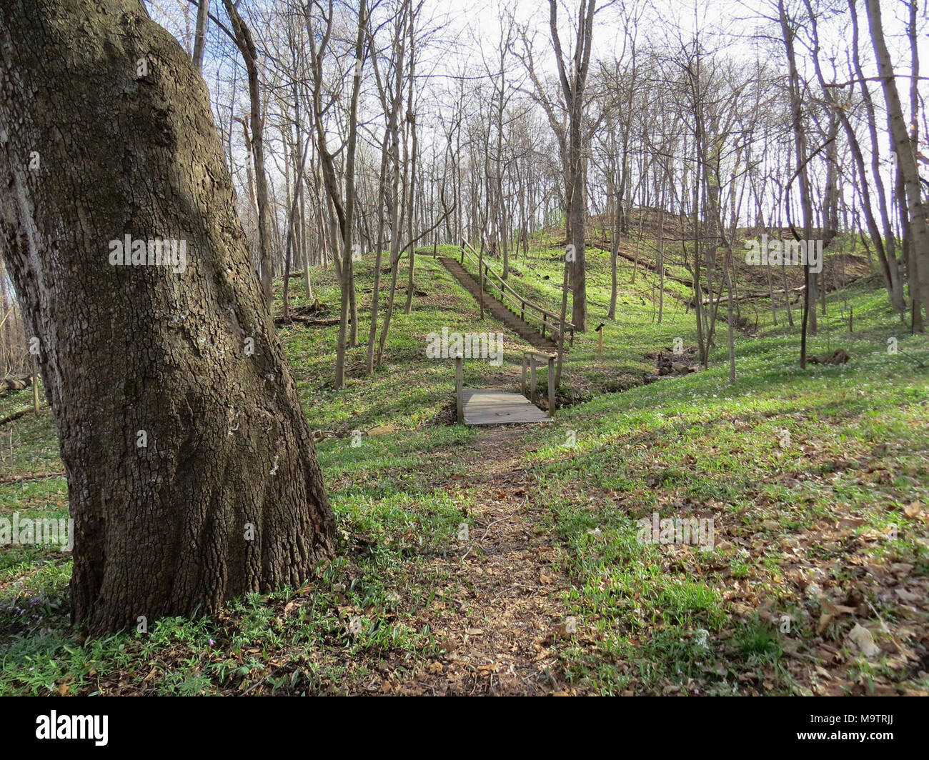Spring at Port Louisa. Spring at Port Louisa Stock Photo - Alamy