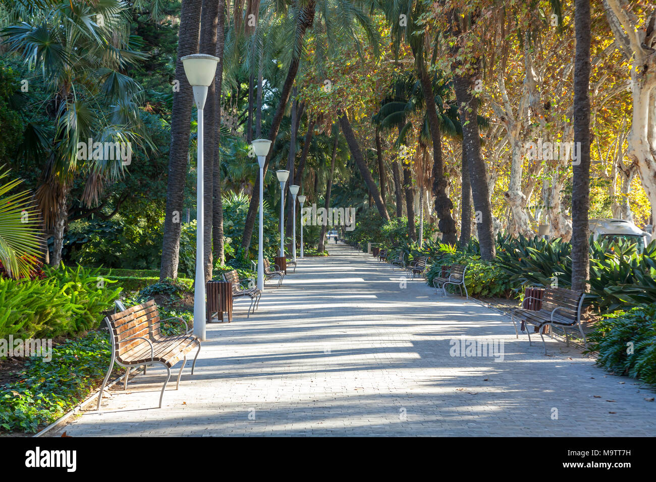 Parque de Málaga Stock Photo - Alamy