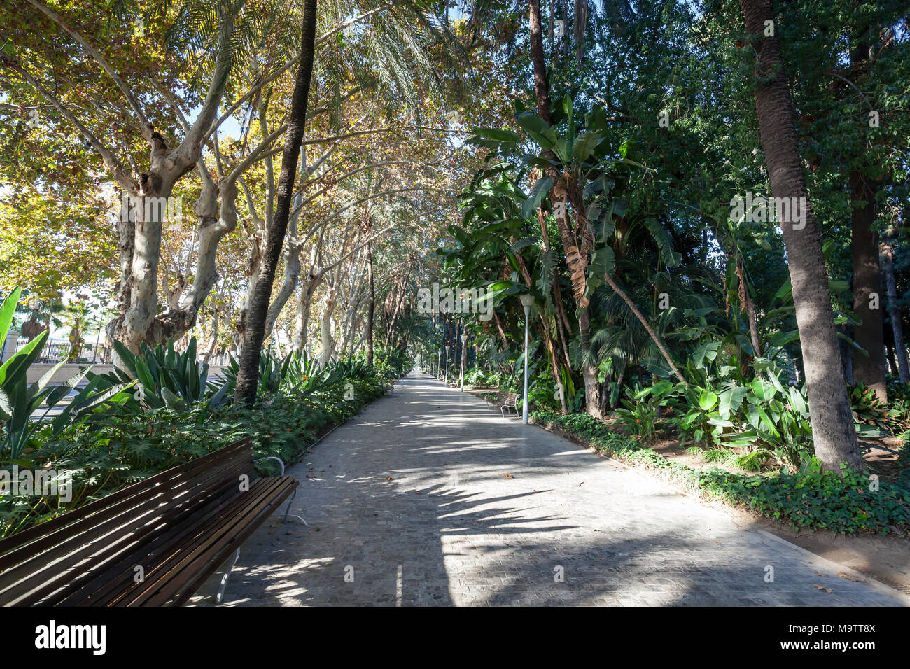 Parque de Málaga Stock Photo - Alamy