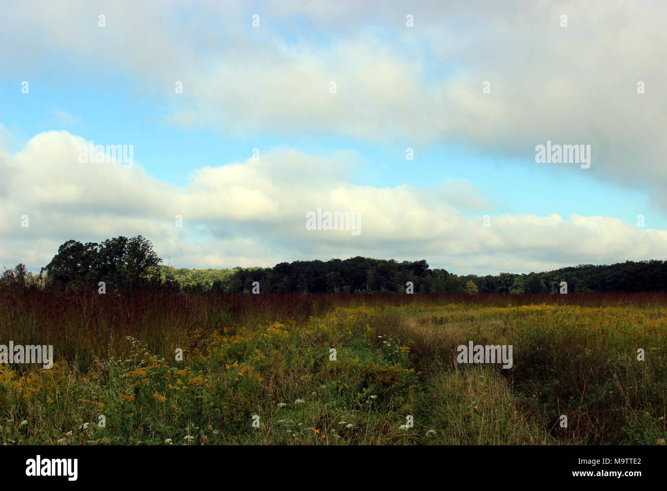 Waterloo State Recreation Area. Waterloo State Recreation Area Stock ...