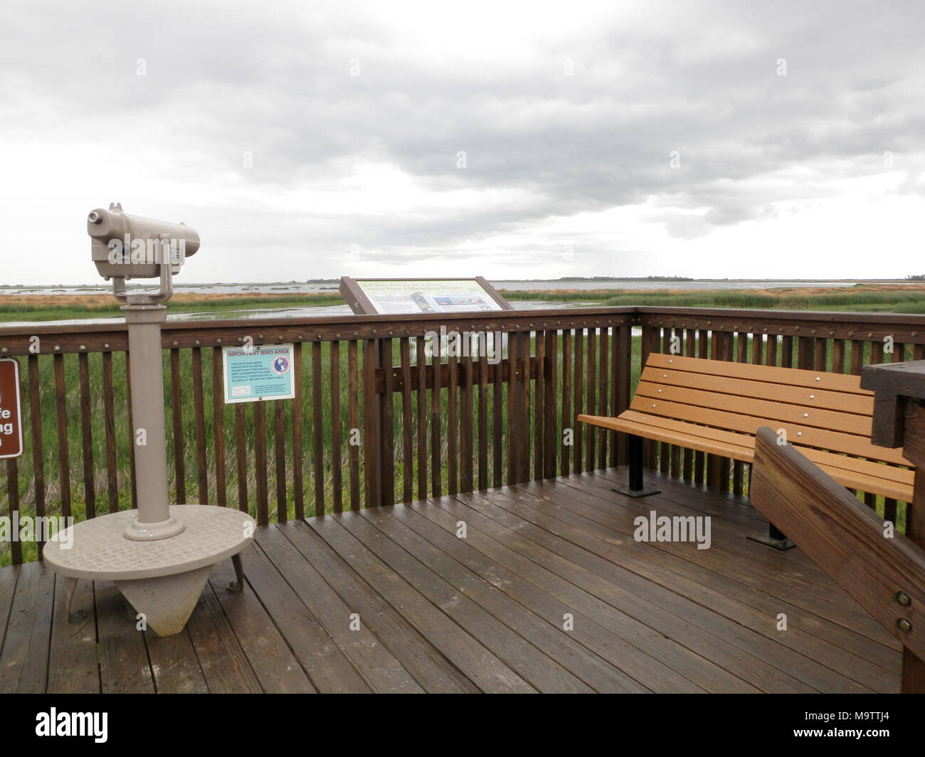 Wildlife Viewing and Interpretation. Wildlife Viewing and ...