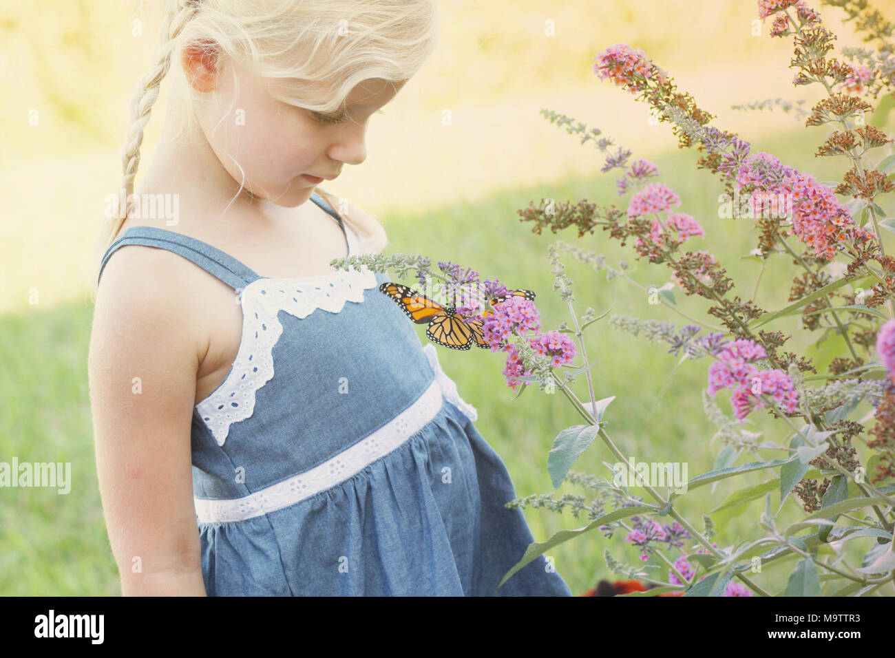 Children and monarch butterflies hi-res stock photography and images ...