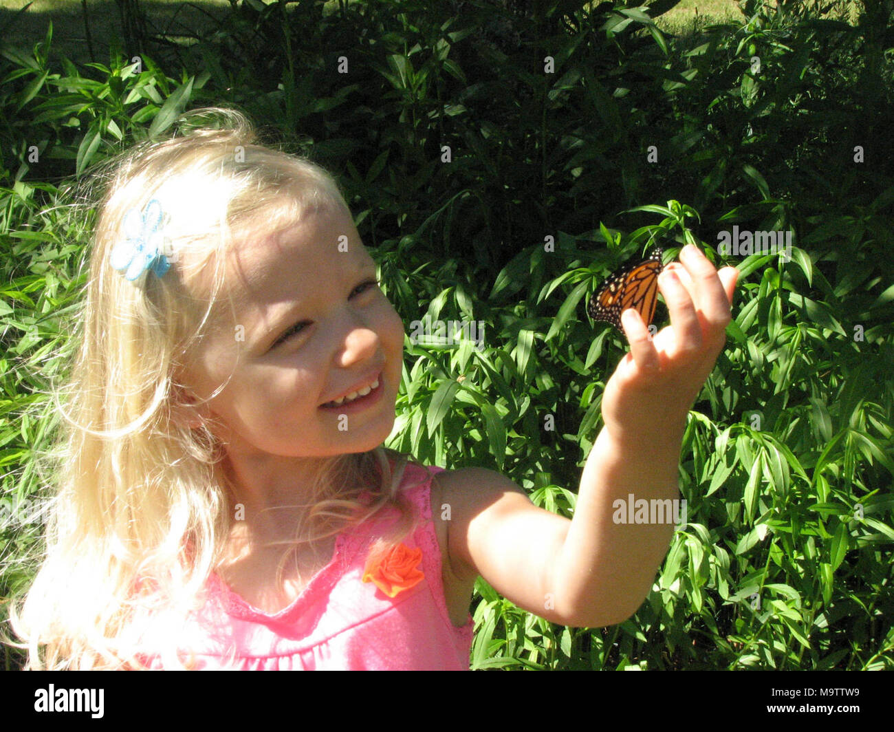 Young Monarch Enthusiast. Young Monarch Enthusiast Stock Photo - Alamy