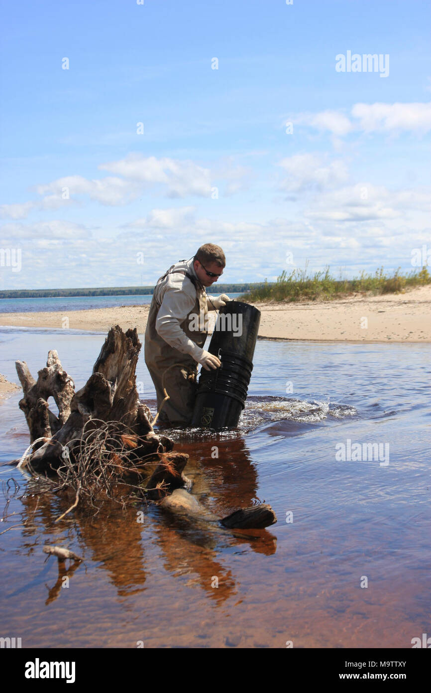Sea Lamprey Control Staff Check traps. Sea Lamprey Control Staff Check ...
