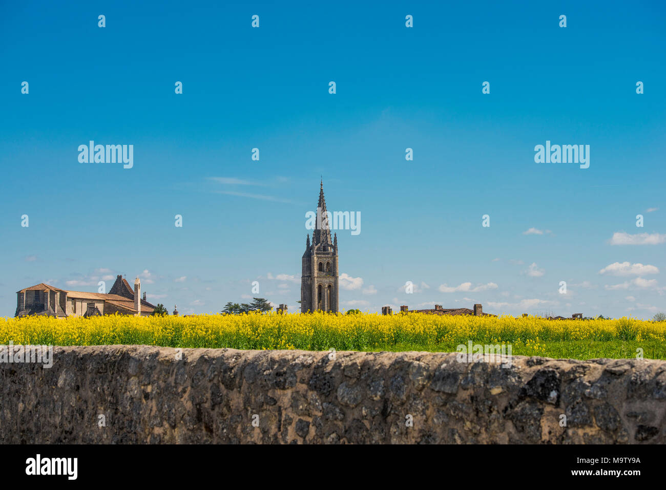 Colza culture hi-res stock photography and images - Alamy