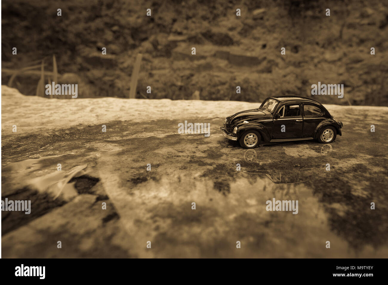 Sports model beetle hi-res stock photography and images - Alamy