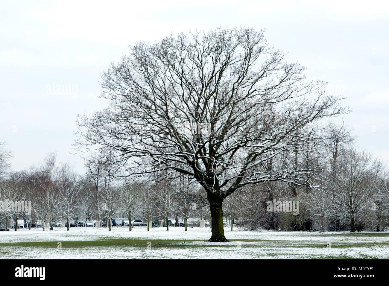 Tooting common hi-res stock photography and images - Alamy