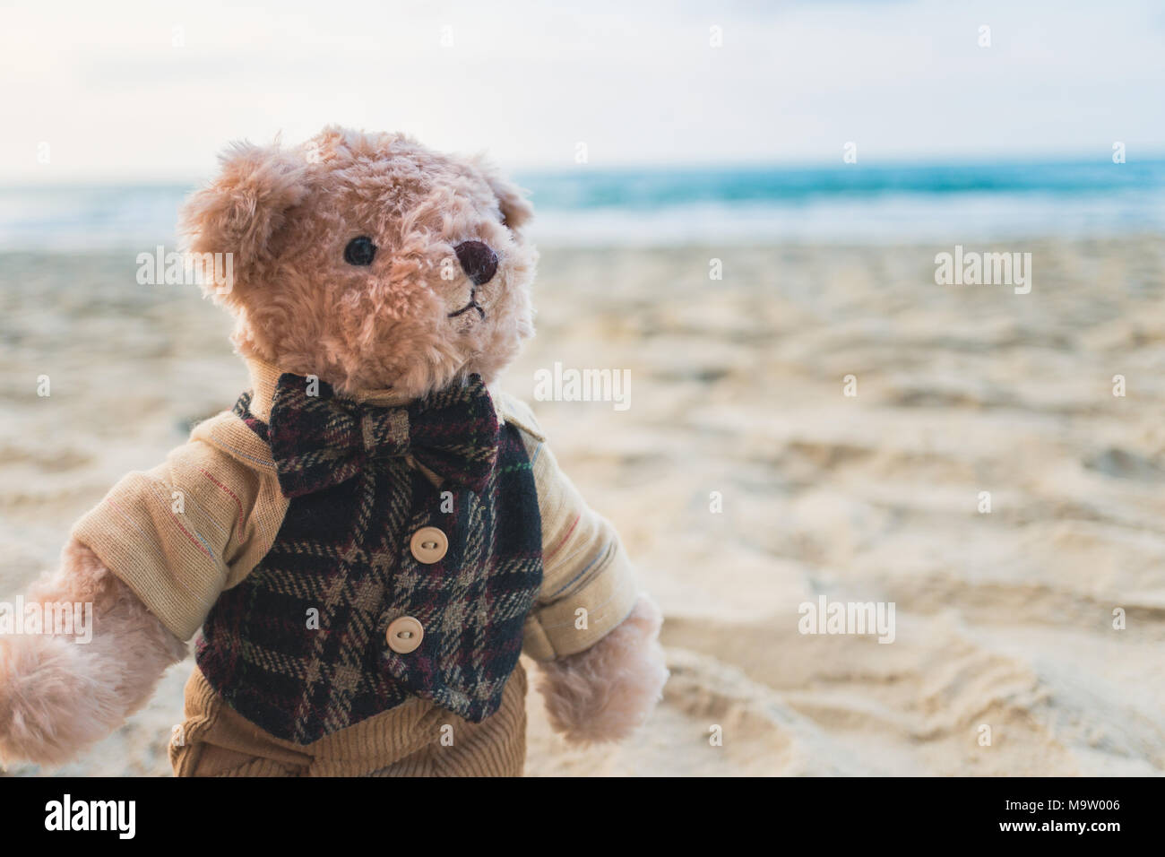 Teddy bear standing on the beach Stock Photo - Alamy
