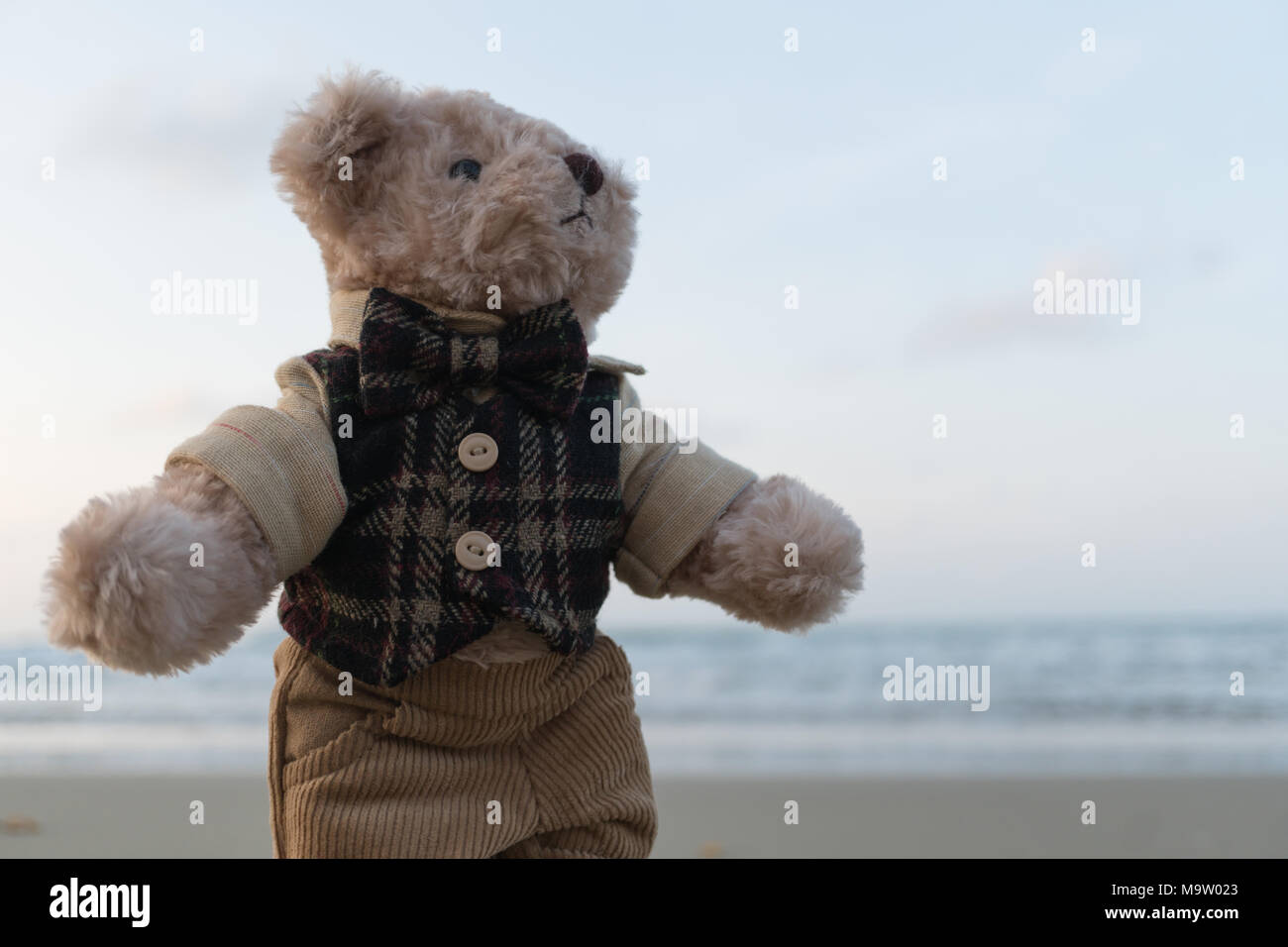 Teddy bear standing on the beach Stock Photo - Alamy