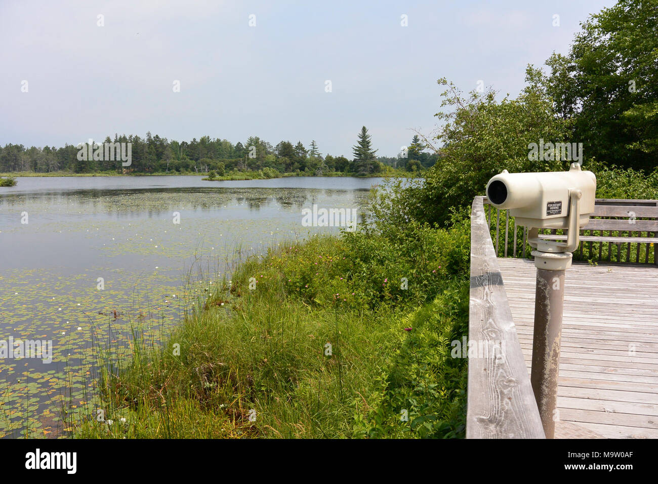 Seney National Wildlife Refuge. Seney National Wildlife Refuge Stock ...
