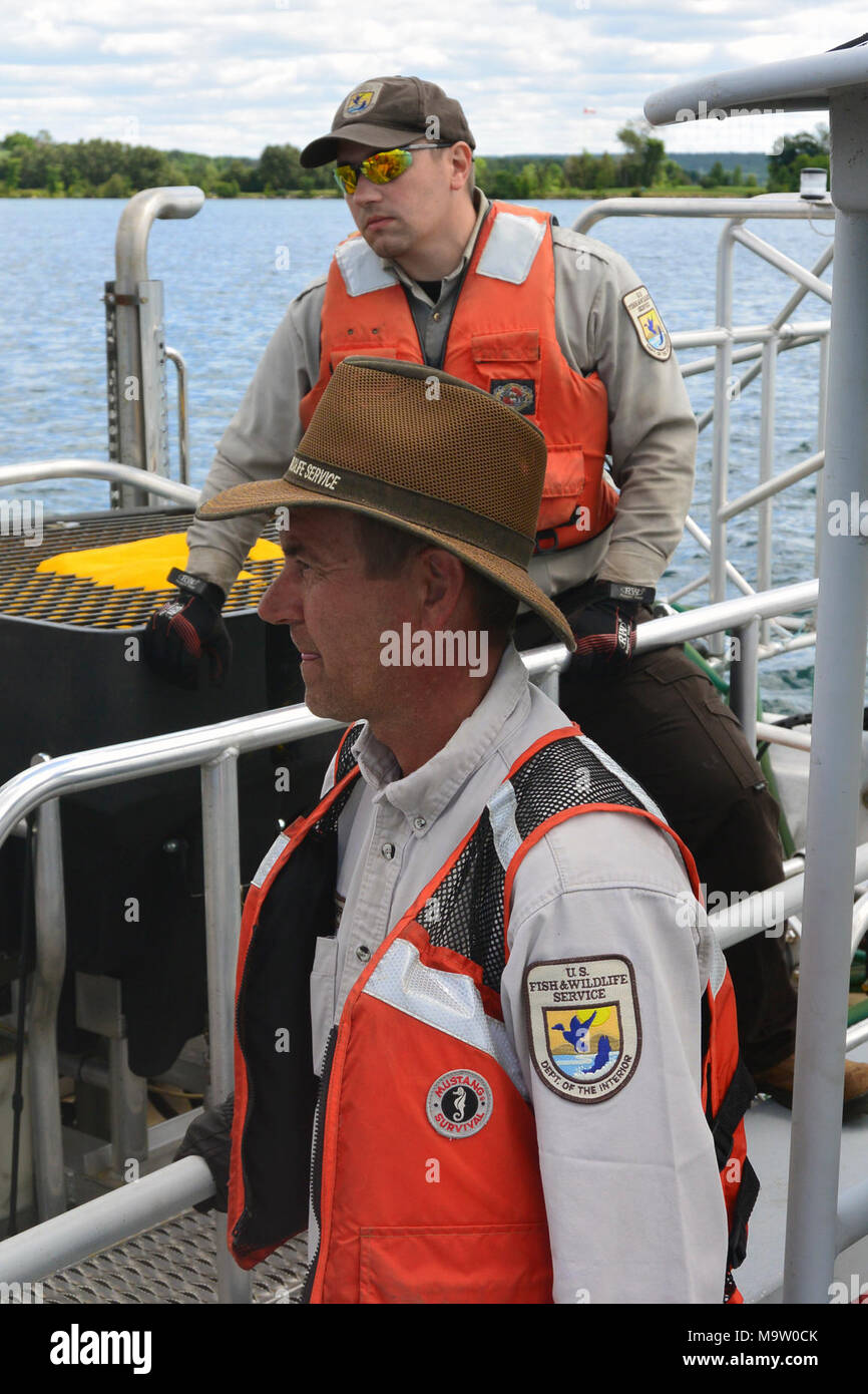 Conservation biological control hi-res stock photography and images - Alamy