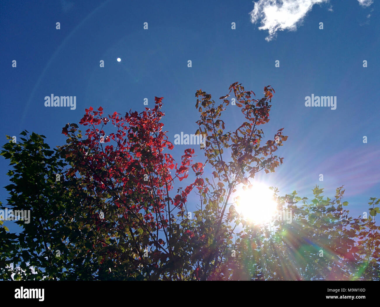 Early fall colors. Early fall colors Stock Photo - Alamy