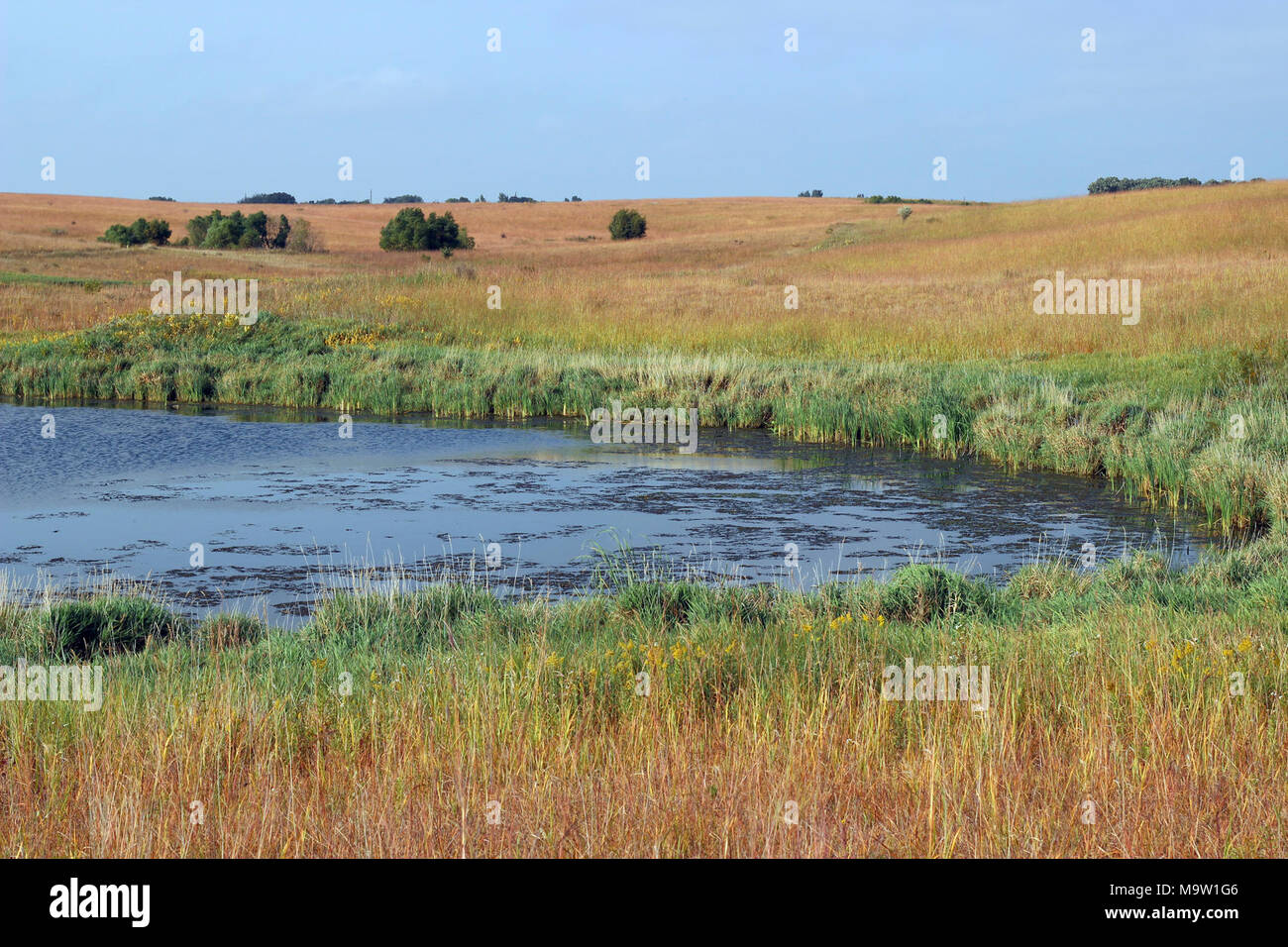 Fall on the prairie. Fall on the prairie Stock Photo - Alamy
