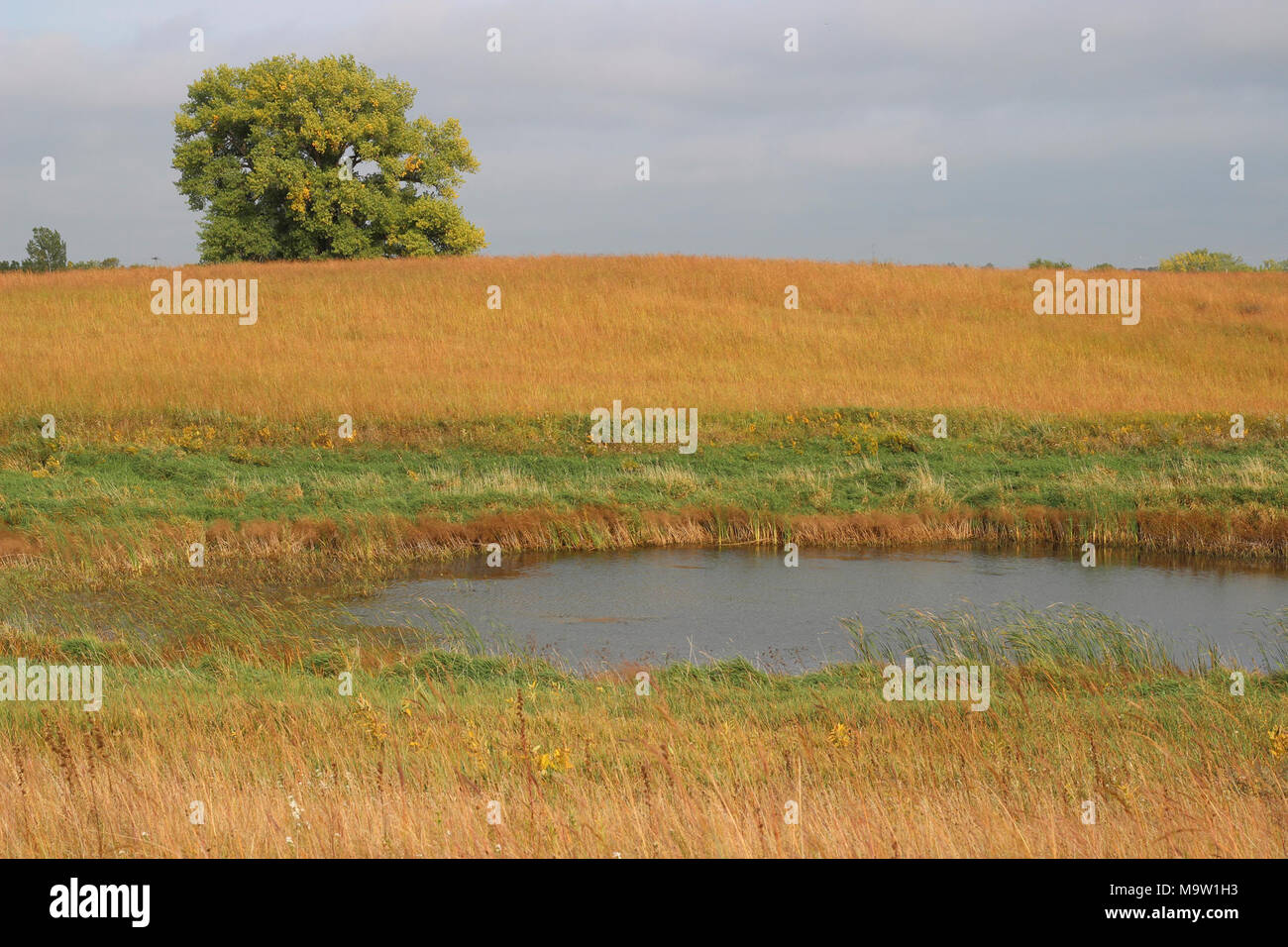 Fall on the prairie. Fall on the prairie Stock Photo - Alamy
