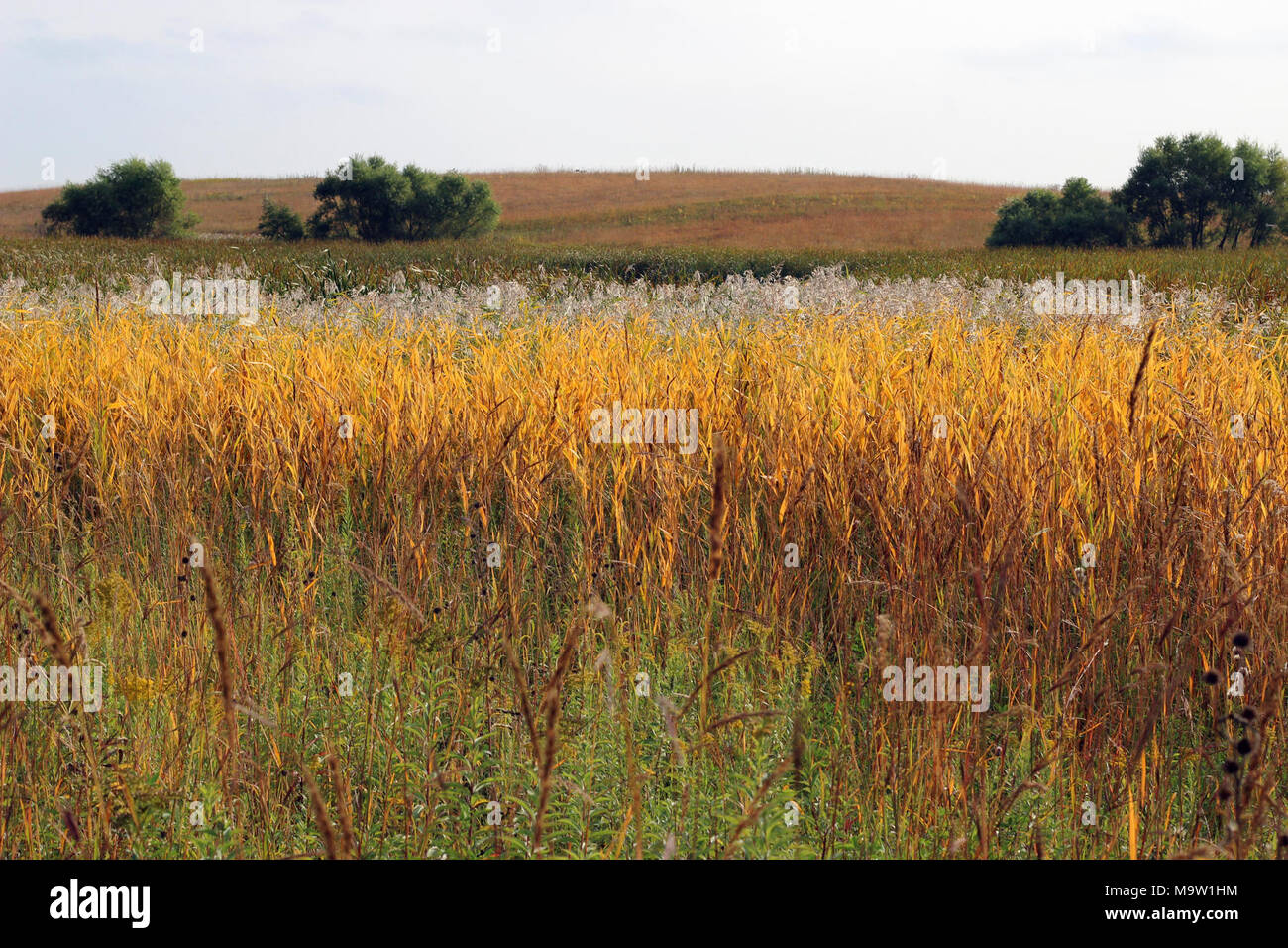 Fall on the prairie. Fall on the prairie Stock Photo - Alamy