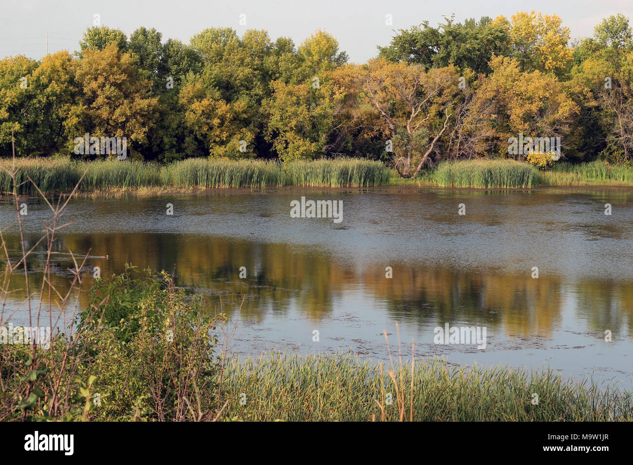 Minnesota wildlife refuge and wetland management district hi-res stock ...