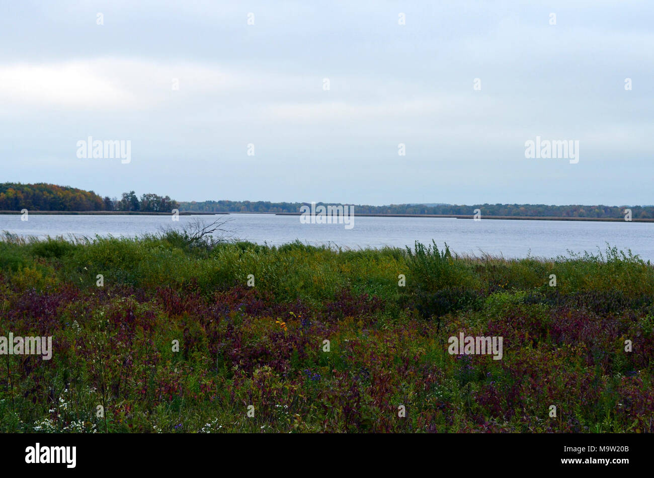 Collins Marsh Wildlife Management Area. Collins Marsh Wildlife ...