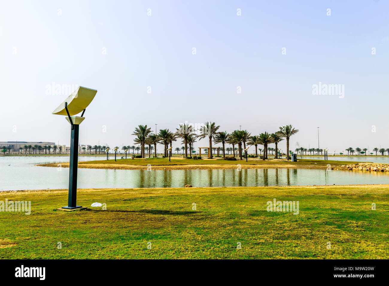 lots of green palm trees and modern lights and grassy ground at a local ...