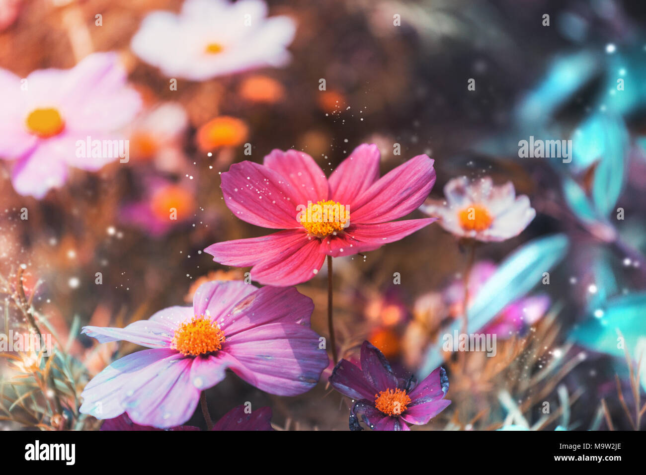 dramatic flower background Stock Photo - Alamy