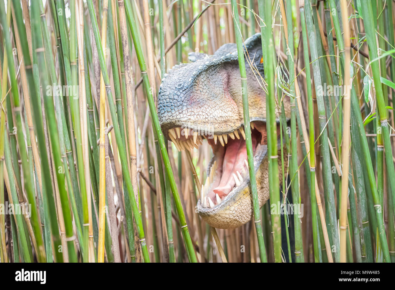 terrifying Tyrannosaurus rex dinosaur emerging from a bamboo forest ...