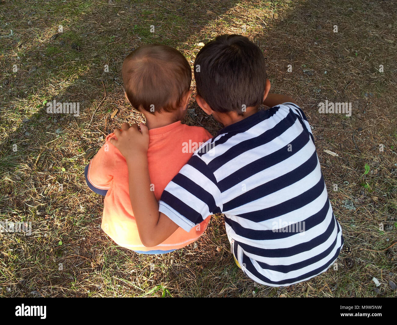 Little explorers watching insects on the ground Stock Photo - Alamy