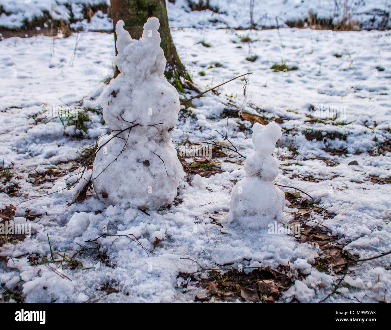 Snow bunnies hi-res stock photography and images - Alamy