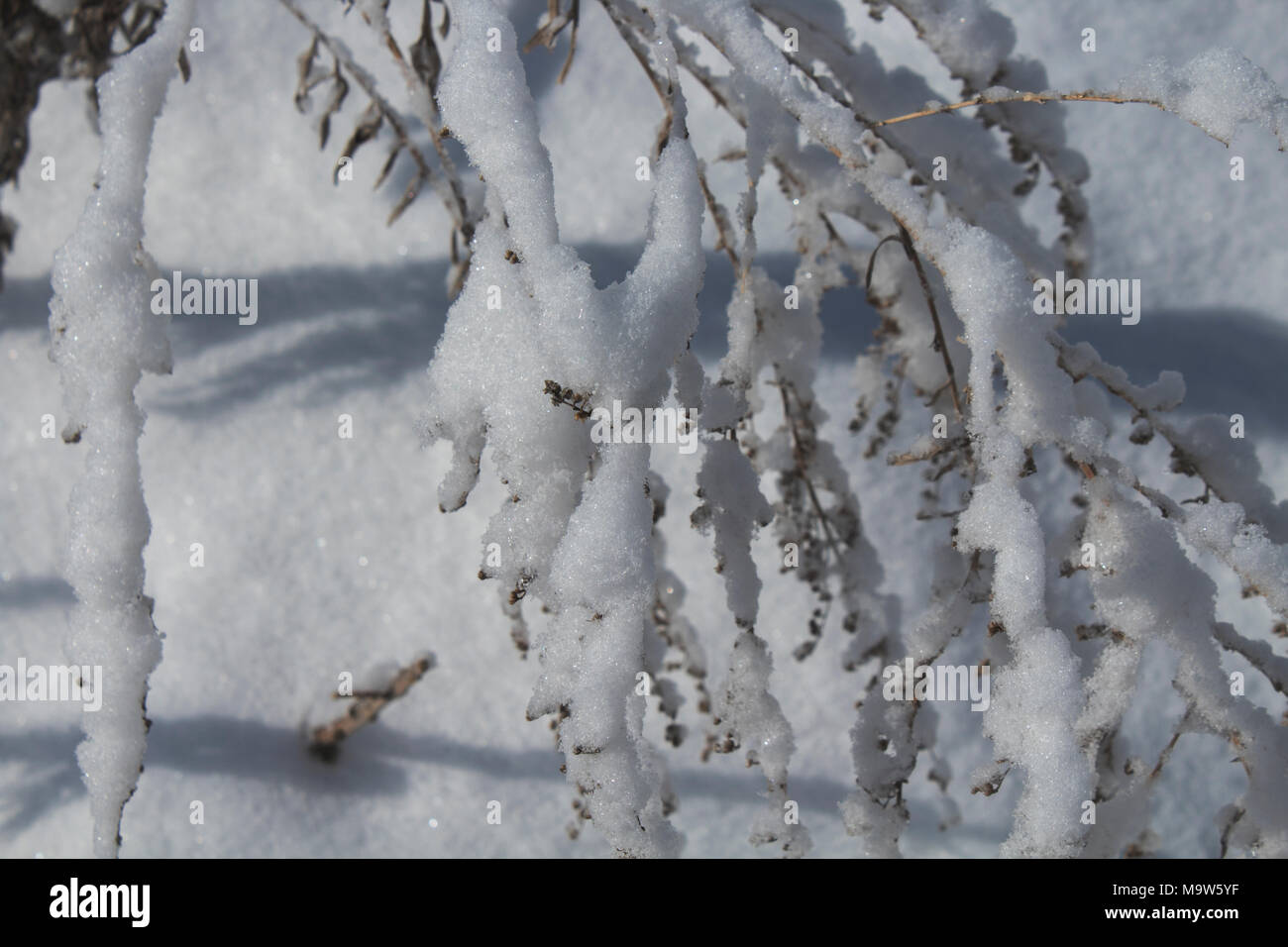 Snowdrift pattern hi-res stock photography and images - Alamy
