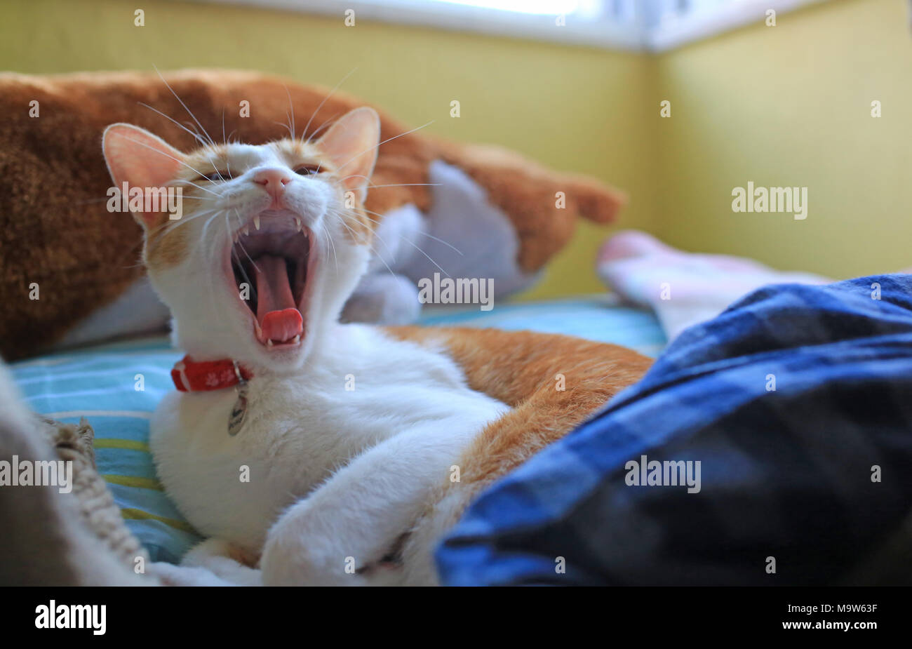 Boring domestic hi-res stock photography and images - Alamy