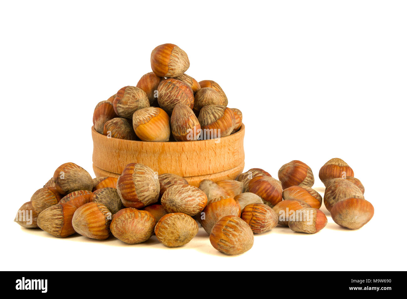 Walnut hazelnut isolate on a white background. Nuts hazel of a Turkish ...