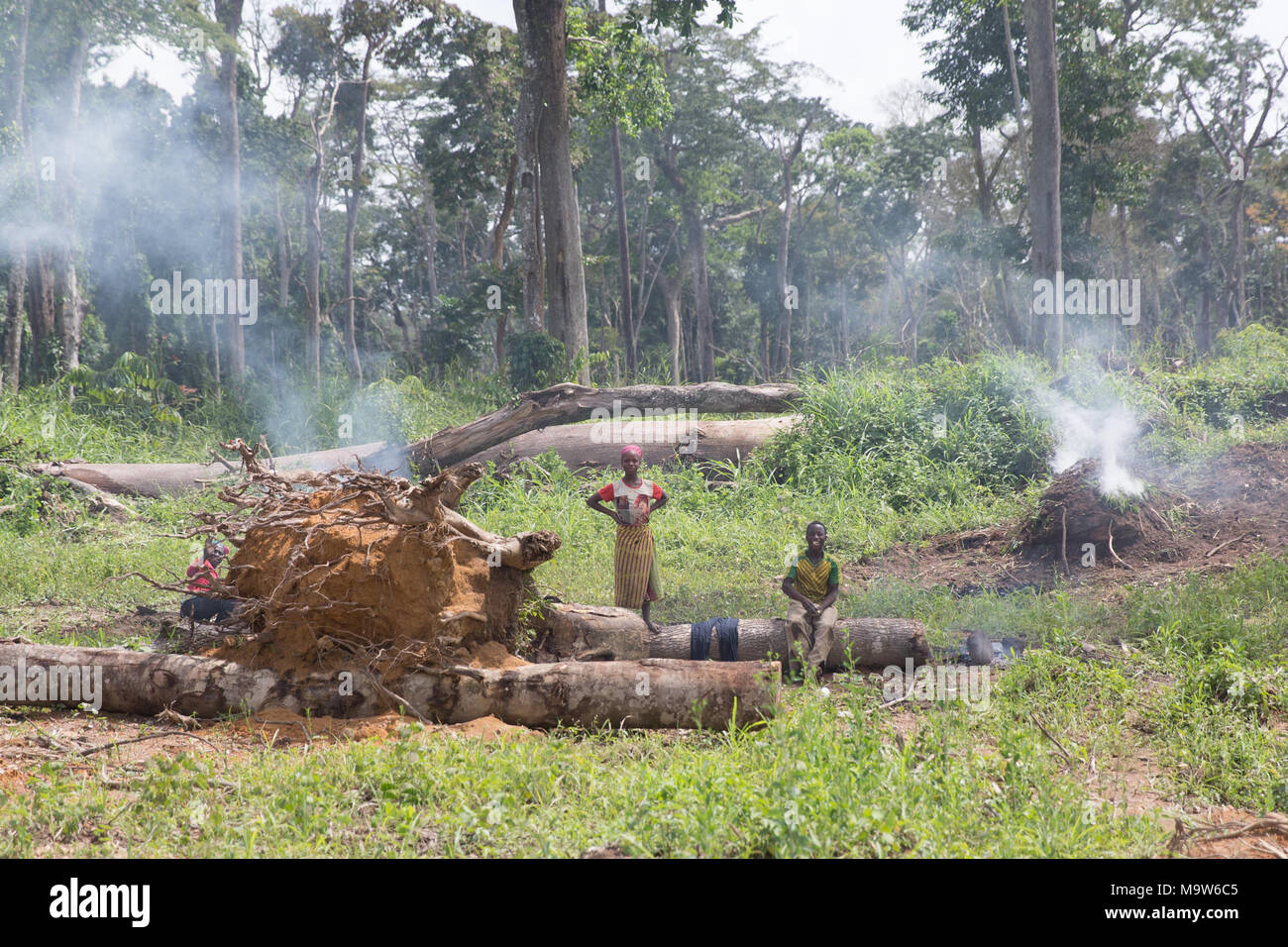 Atmosphere in the Ivory Coast Stock Photo - Alamy