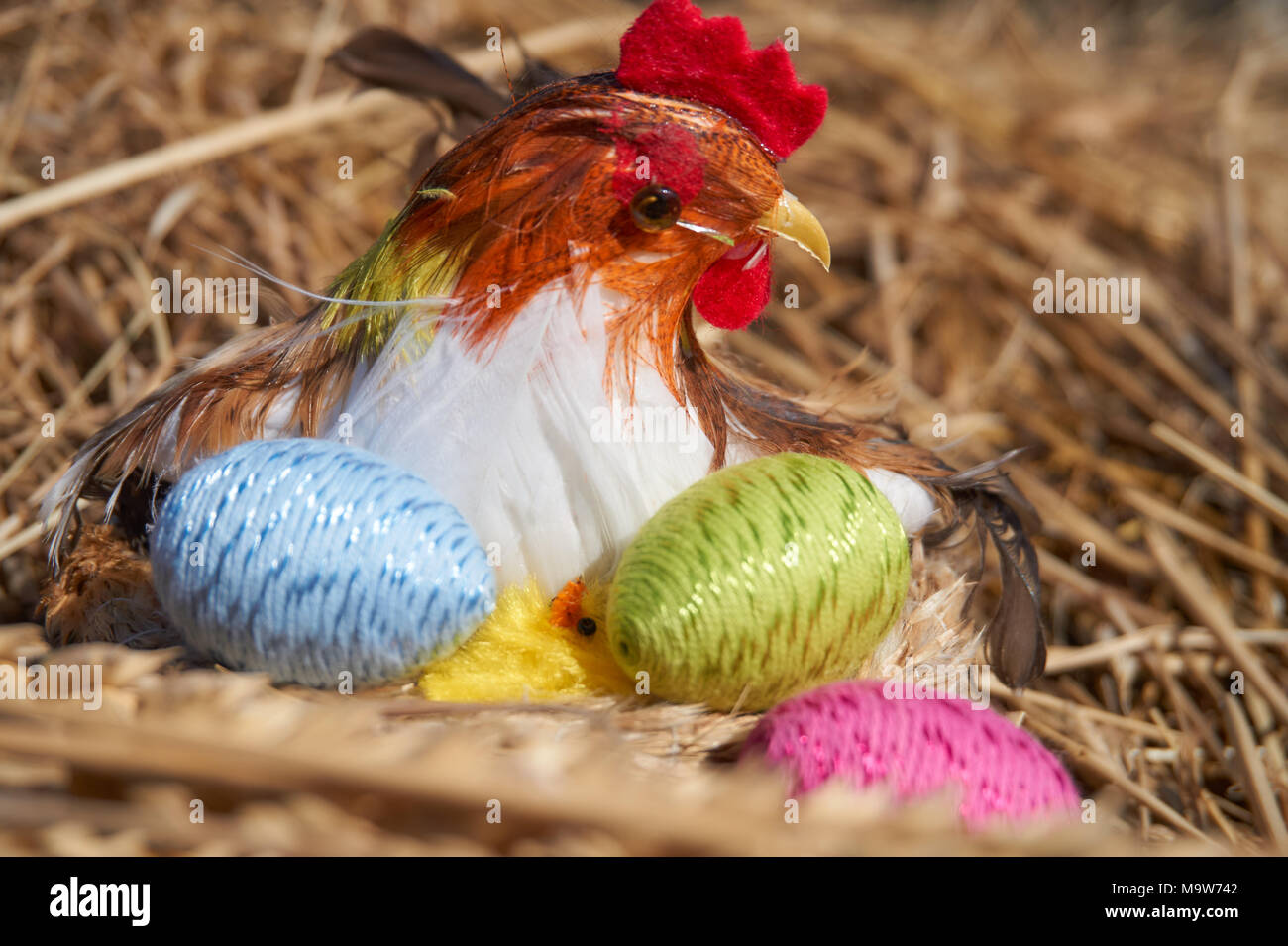 Chick hatches hi-res stock photography and images - Alamy