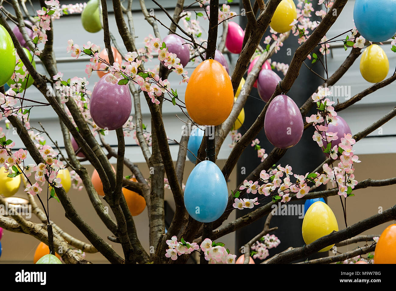 Easter eggs on the tree Stock Photo - Alamy
