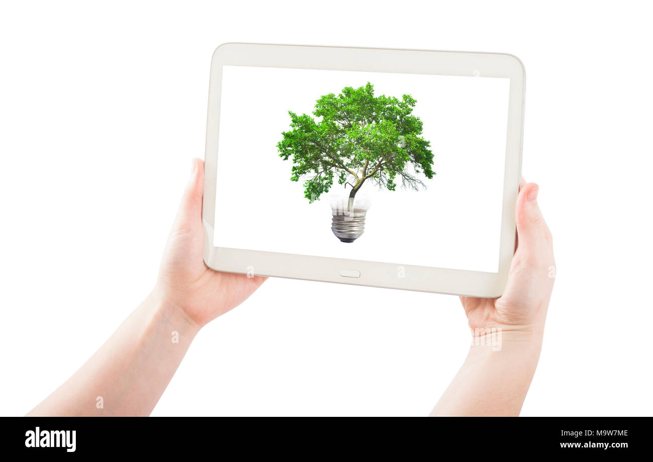 hands holding pc tablet and green tree in bulb isolated on white Stock ...