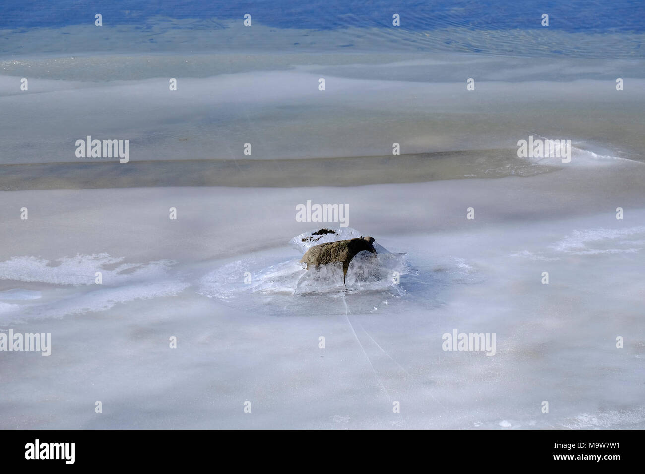 Ice melting hi-res stock photography and images - Alamy