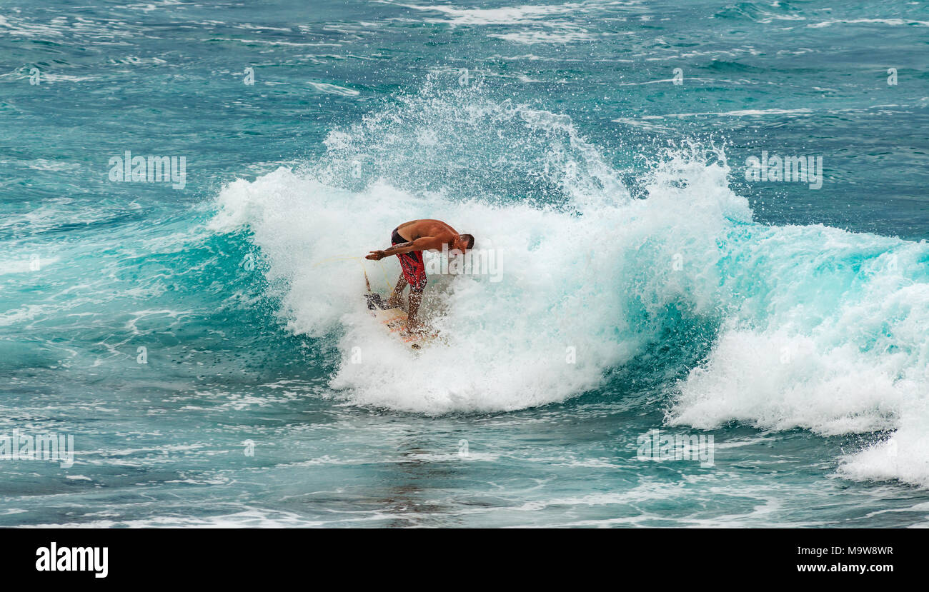 MAUI, HAWAII, USA-DECEMBER 16, 2013: surfer is riding a wave at famous ...