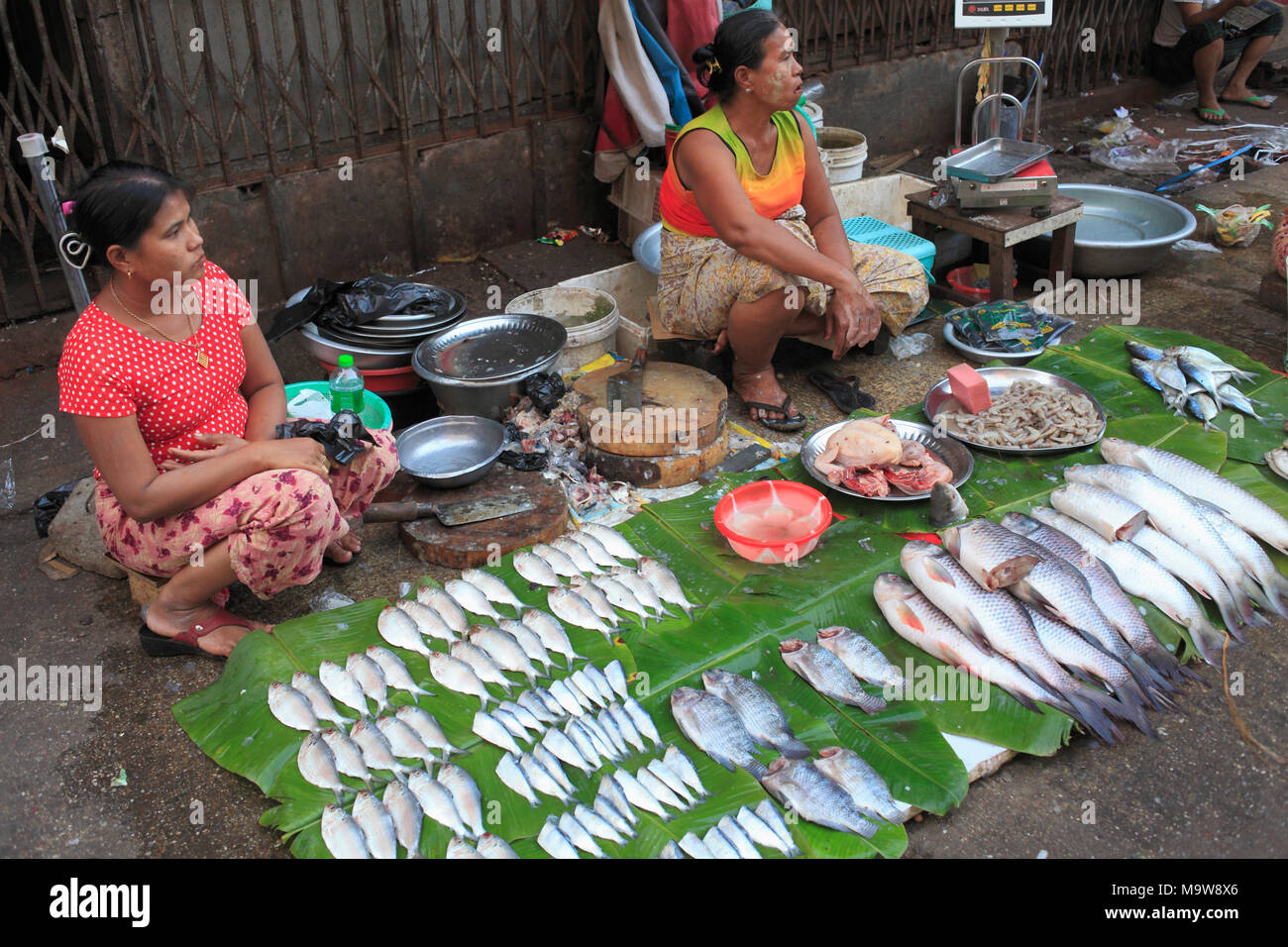 Fish market yangon myanmar hi-res stock photography and images - Alamy