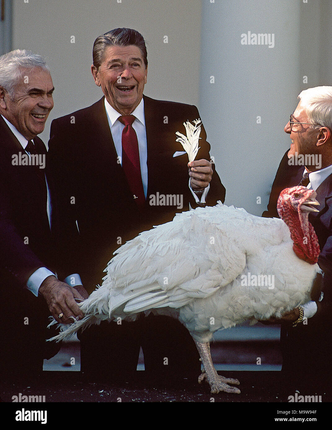Reagan pardons turkey hi-res stock photography and images - Alamy