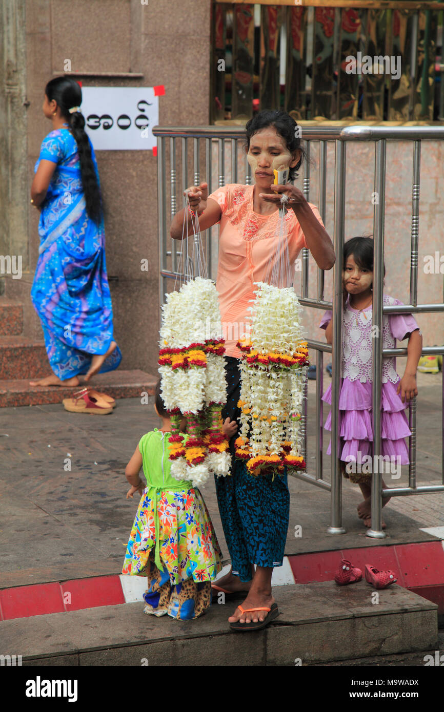 Myanmar flower hi-res stock photography and images - Alamy