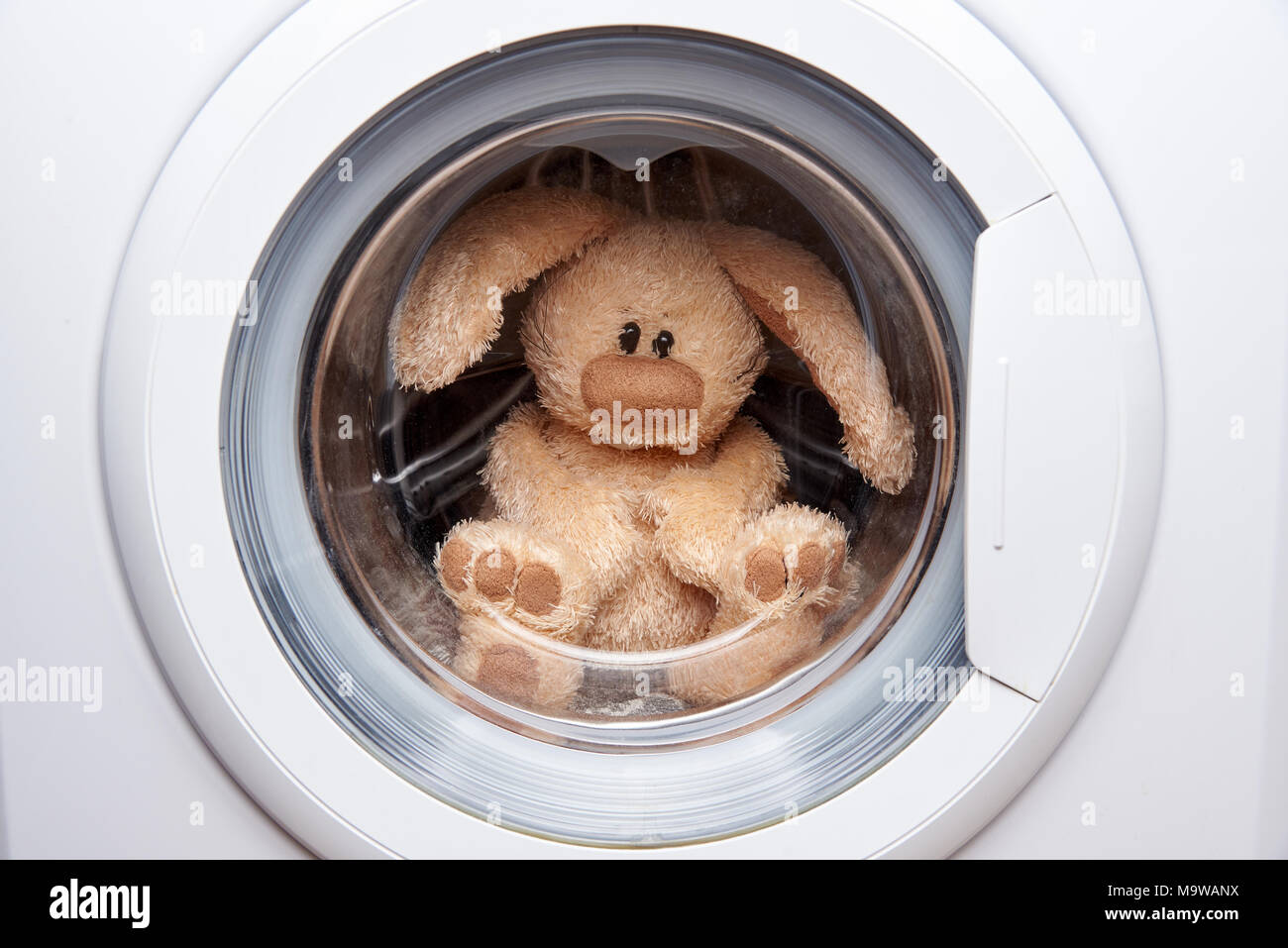 Funny washing machine hi-res stock photography and images - Alamy